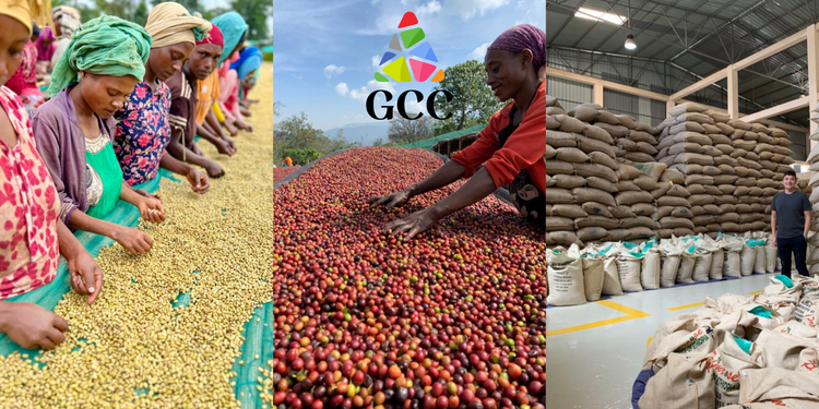 Global Coffee Connections